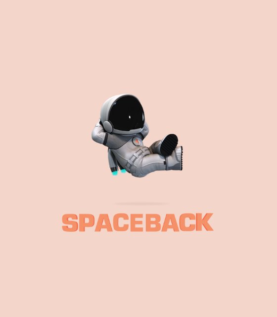 Programmatic Social Display Ads Made Easy with Spaceback | illumin